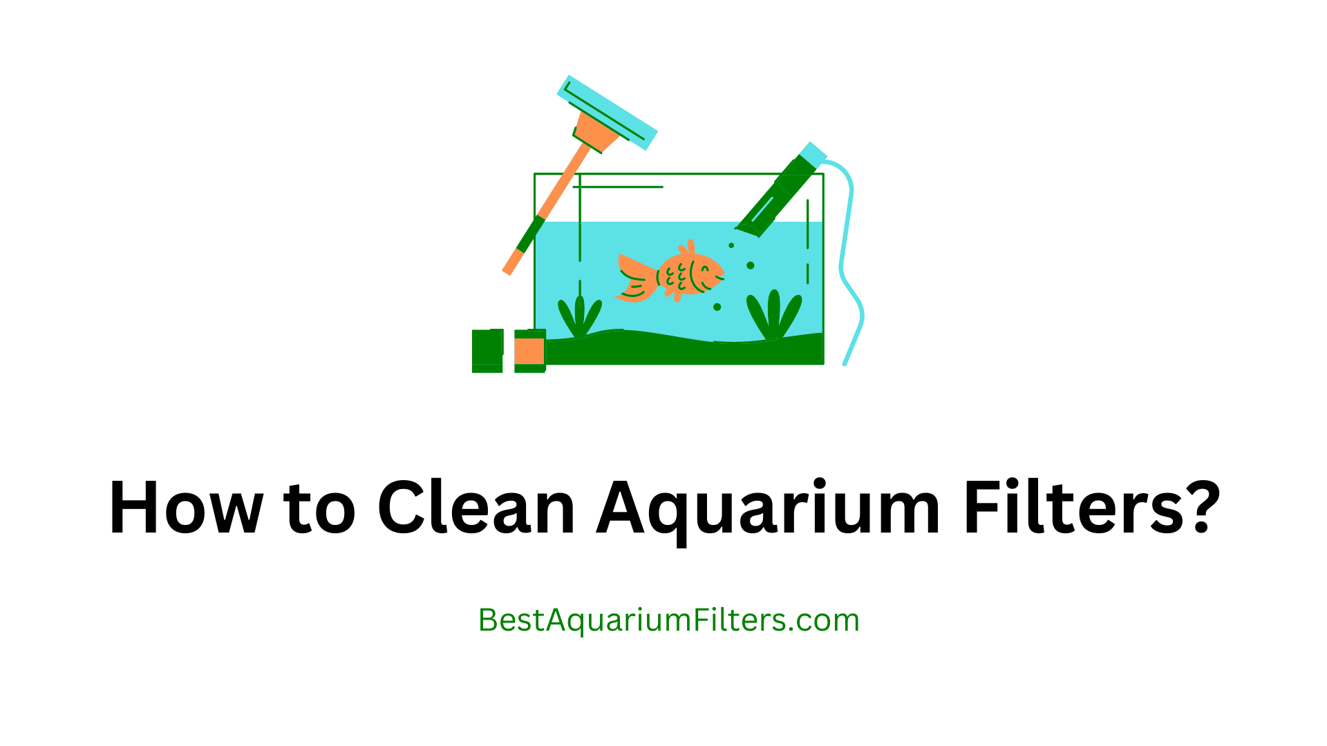 How to Clean Aquarium Filters?
